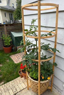 Gardener's Supply Company Elevated Bamboo Tomato Planter And Trellis ...