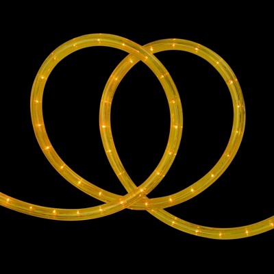 Northlight Incandescent Flexible Outdoor Christmas Rope Lights Clear ...