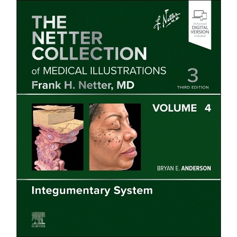 The Netter Collection Of Medical Illustrations: Integumentary System ...