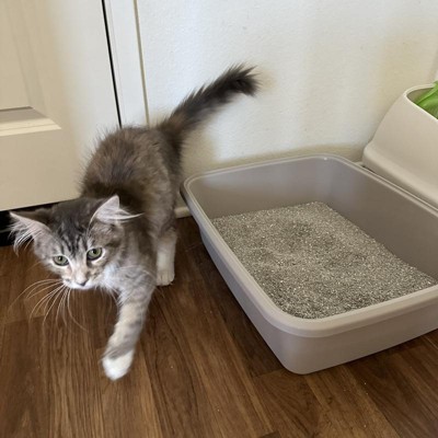 Standard Waste Cat Pan - Gray - L - Up & Up™ : Target