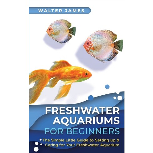 Setting Up Saltwater Aquariums Beginners