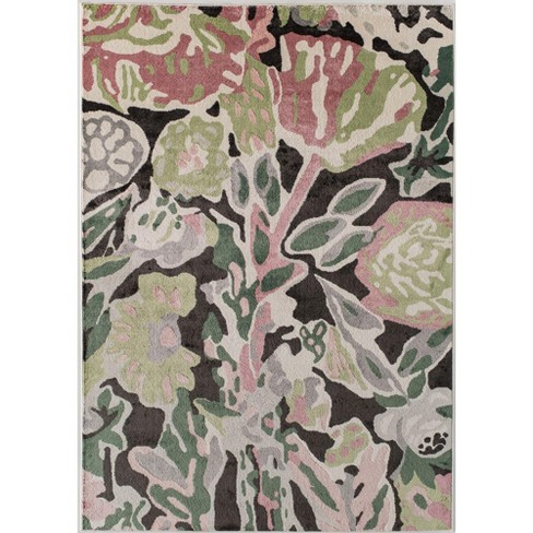 Rugs America Hanna Floral Transitional Area Rug : Target