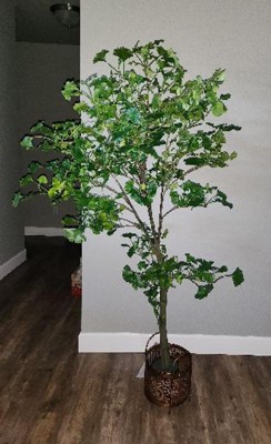 Vickerman 9' Artificial Potted Ginkgo Tree. In A 8"lx8"wx7"h Base. : Target