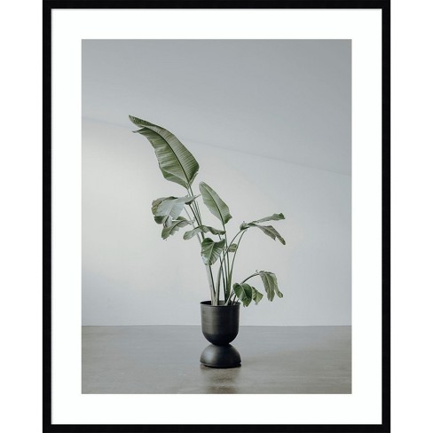 Amanti Art Portrait Of A Plant By Incado Wood Framed Wall Art Print 33 ...