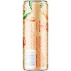 Absolut Mango Mule Sparkling Vodka Cocktail - 4pk/355ml Cans : Target