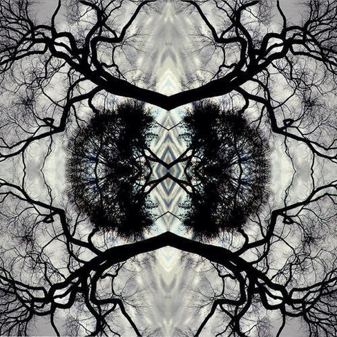 Adam Rudolph - Sonic Mandala Go: Organic Orchestra (vinyl) : Target