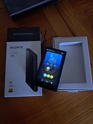 Sony Nw-a306 Walkman A Series Hi-res Digital Music Player With Wifi ...
