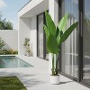 Artificial Bird of Paradise Banana Leaf Plant in Pot - Tall Faux Palm ...