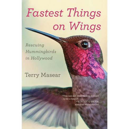 Fastest Things On Wings - By Terry Masear (paperback) : Target