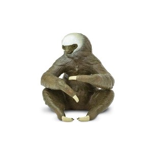 Safari Ltd. - Two-Toed Sloth Kids Toy Figure : Target
