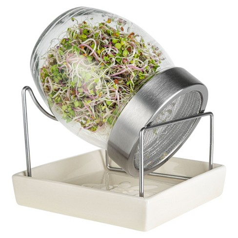 Tribest Geo Sprouting Jar System With Stainless Steel Rack And Ceramic ...