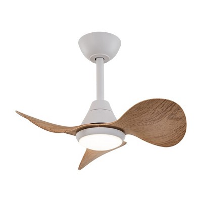 C Cattleya24 In. Color Changing 3000k/4000k/5000k Led White Wooden ...