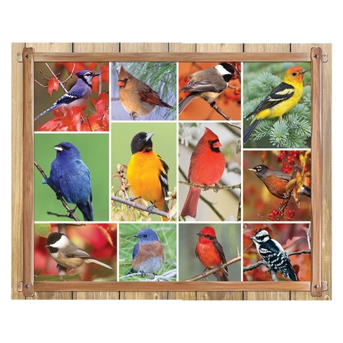 Springbok Songbirds Puzzle 100pc : Target