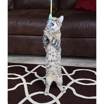 Cat Toys : Target