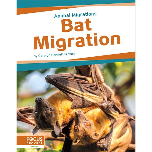 Bat Migration - By Carolyn Bennett Fraiser (paperback) : Target