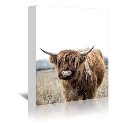 Americanflat Animal Farmhouse Highland Cow By Tanya Shumkina Wrapped ...