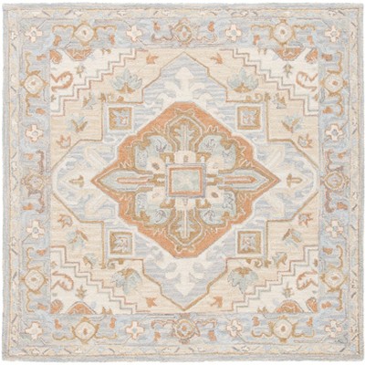 Oregon Ore898 Power Loomed Area Rug - Beige/grey - 4'x4' - Safavieh ...