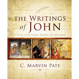 The Writings of John - by C Marvin Pate (Paperback) : Target