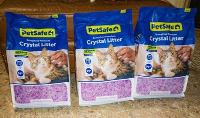 Petsafe Low Dust Non-clumping Scoopfree Crystal Cat Litter - 8lbs ...