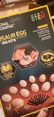 National Geographic Dinosaur Egg Dig Kits - 12 Dino Egg-shaped Dig ...