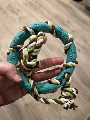 Rocket & Rex Chew Dog Ball Plush Toy Set - 6pk : Target