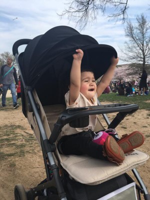 Joovy Kooper Single Compact Fold Lightweight Stroller : Target