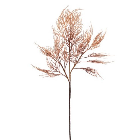 Vickerman 33" Light Brown Reed Spray Bundle, 2 Per Bundle. : Target