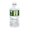 Poland Spring Brand 100% Natural Spring Water - 12pk/12 Fl Oz Bottles ...