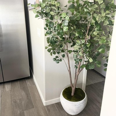 72" Artificial Ficus Tree - Threshold™ Designed With Studio Mcgee : Target