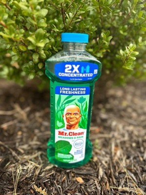 Mr. Clean Meadows & Rain Dilute Multi-surface Cleaner - 41 Fl Oz : Target