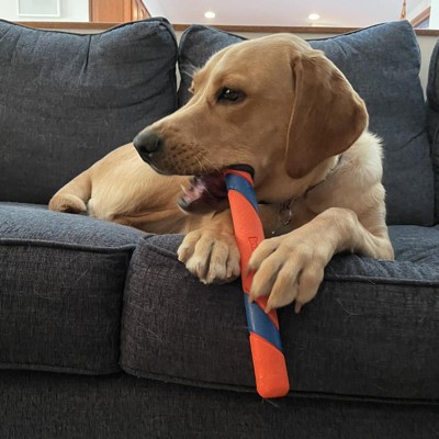 Chuckit! Ultra Fetch Stick Dog Toy - Orange : Target