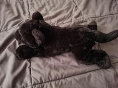 Fao Schwarz Husky Cuddly Ultra-soft Fur 15" Stuffed Animal : Target