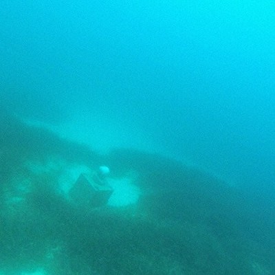 Gus Ring - Hypnoseas : Target