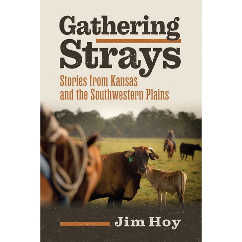Gathering Strays - By Jim Hoy (paperback) : Target