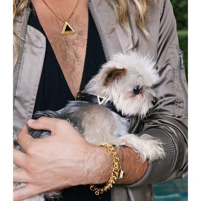 Diphda Jet Black Cactus Leather Collar - Small : Target
