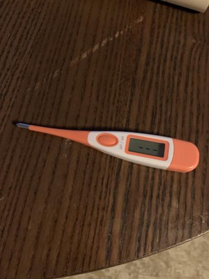Basal Digital Thermometer - Up&up™ : Target