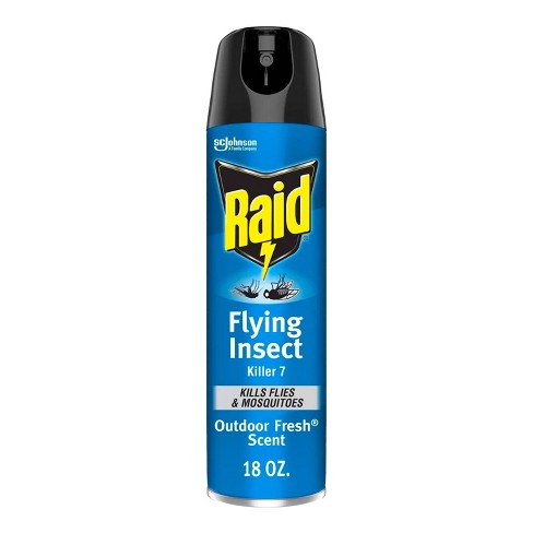 Raid Flying Insect Killer Outdoor Fresh Scent Aerosol - 18oz : Target