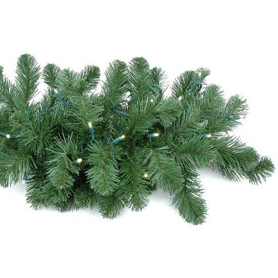 Novelty Lights 9' Deluxe Colorado Pine Garland : Target