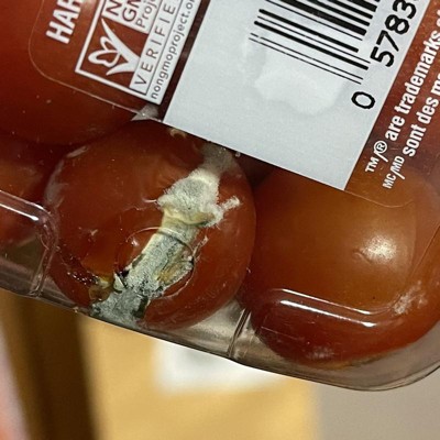 Premium Cherry Tomatoes - 10oz - Good & Gather™ (packaging May Vary ...