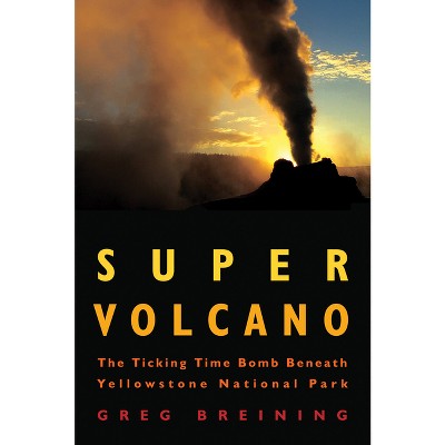 How To Restore Ford Tractors - By Tharran E Gaines (paperback) : Target
