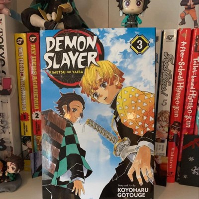 Demon Slayer: Kimetsu No Yaiba, Vol. 3, Volume 3 - By Koyoharu Gotouge ...