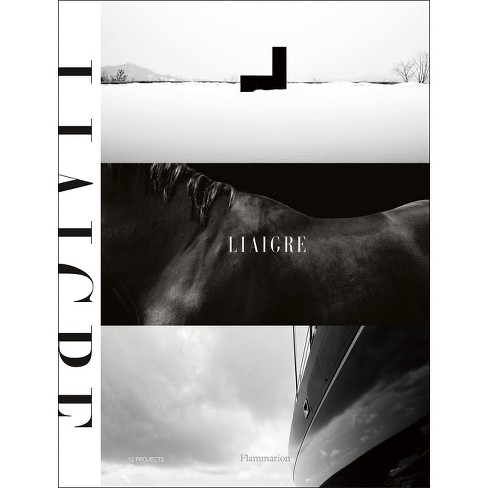 Liaigre: 12 Projects - By Christian Liaigre (hardcover) : Target