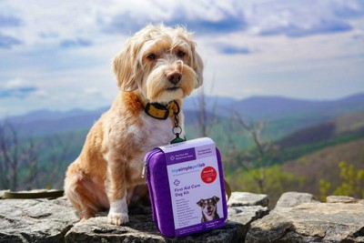 Mysimplepetlab Dog First Aid : Target