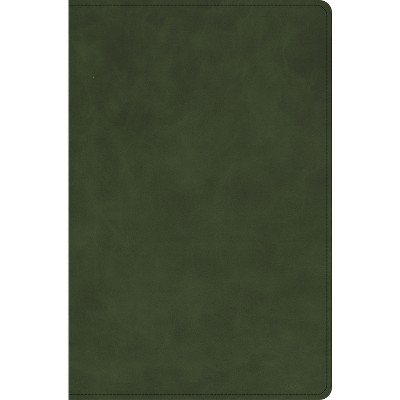 Unity In The Book Of Isaiah - (library Of Hebrew Bible/old Testament ...