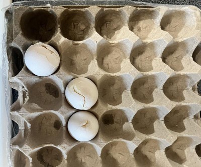 Grade A Large Eggs - 30ct - Good & Gather™ (packaging May Vary) : Target