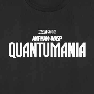 Women's Ant-man And The Wasp: Quantumania Movie Logo White T-shirt ...