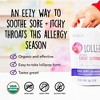 Lolleez Organic Throat Soothing For Kids' Lollipop - Mixed Berry ...