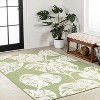 Jonathan Y Tobago High-low Two-tone Monstera Leaf Light Green/ivory 3 ...