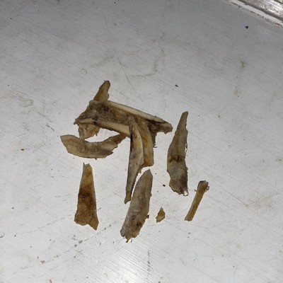 Jack&pup Single Ham Bone In Pork Flavor Dog Treats - 0.5lb : Target