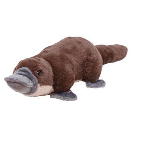 Wild Republic Cuddlekins Mini Platypus Stuffed Animal, 8 Inches : Target